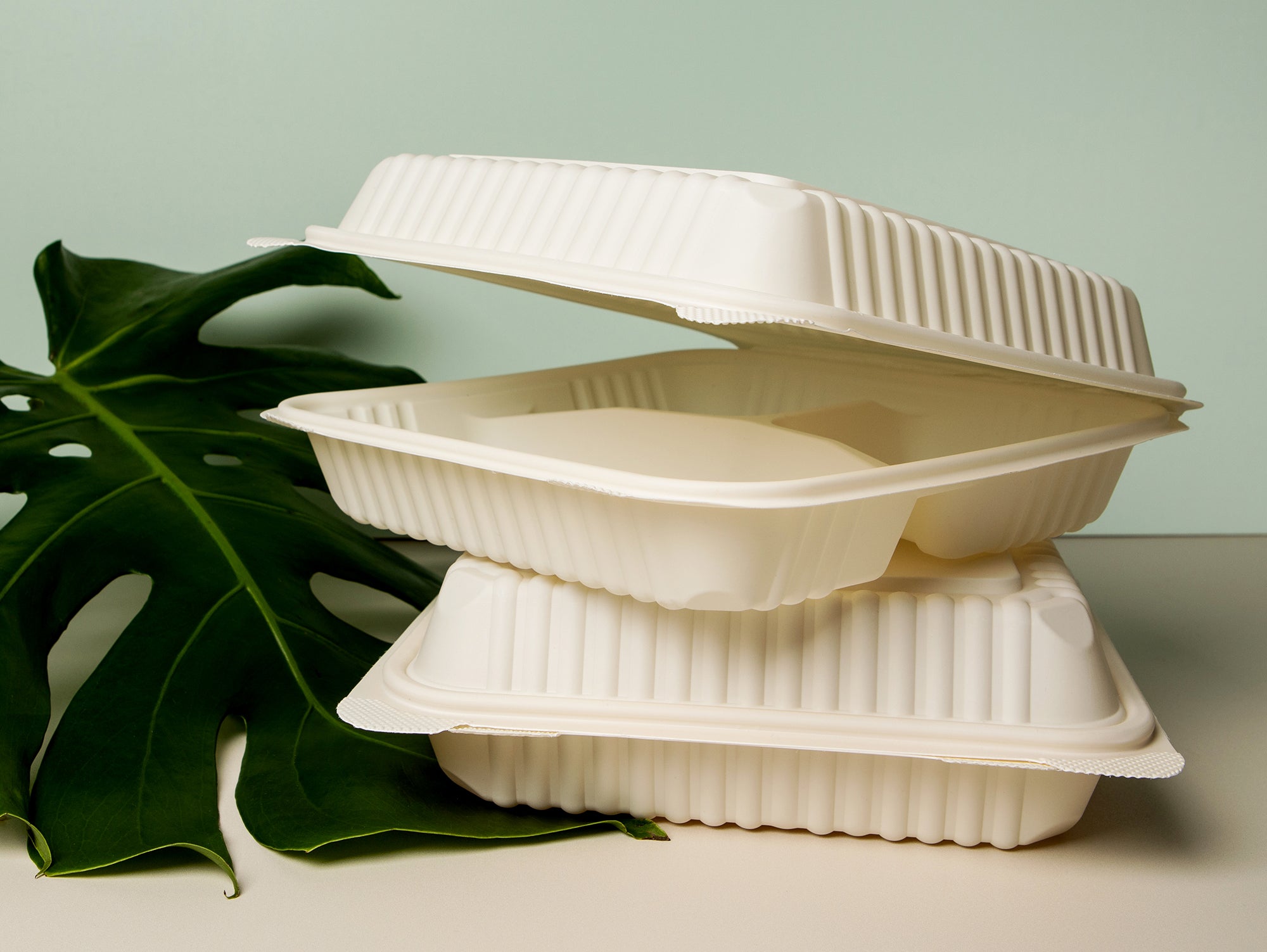 NATURPAK | Productos Biodegradables y Compostables